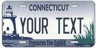 PERSONALIZED CONNECTICUT VANITY LICENSE PLATE AUTO TAG | eBay