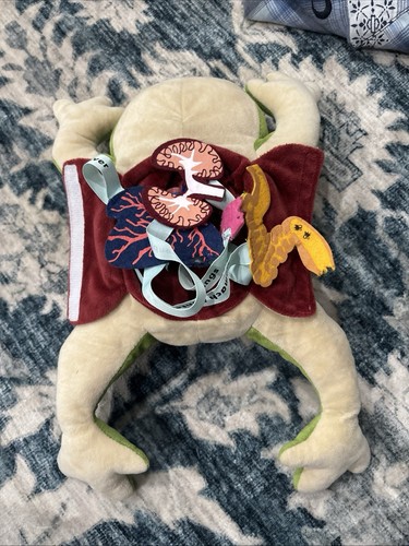 KiwiCo Frog Dissection Stuffed Animal Toy School Science Educational ...