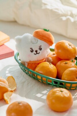 BTS BT21 ORANGE ver. Plush Toy Doll RJ Line Friends 2025 from Japan | eBay
