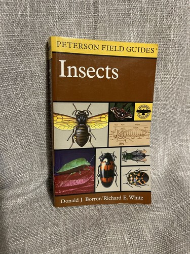 A Field Guide To Insects by Donald Borror Science Homeschool Entomology ...