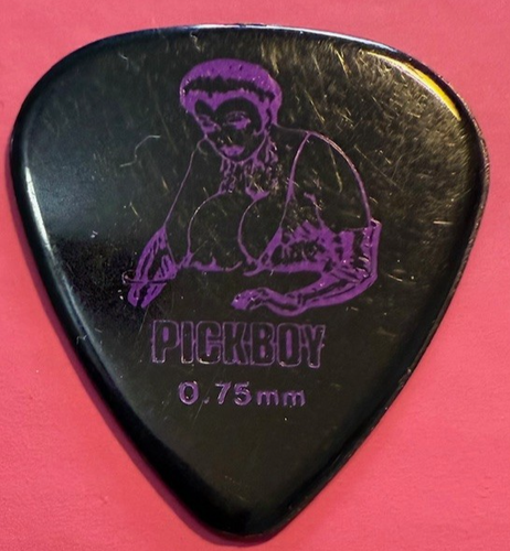 UNKNOWN / ONE SIDED / TOUR GUITAR PICK | eBay