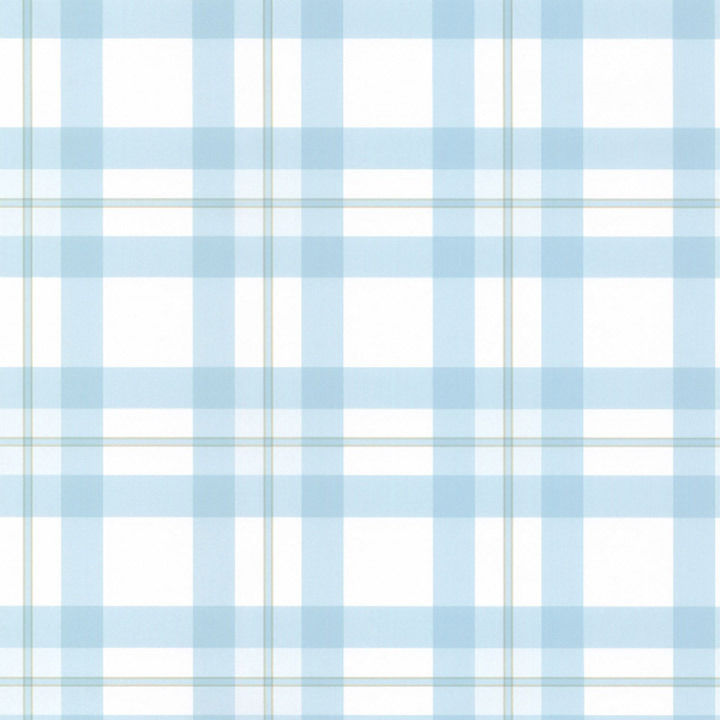 Light Blue Plaid Pattern