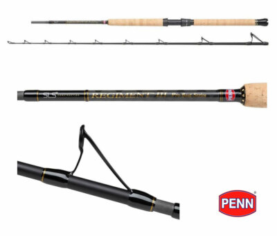 Rods - Penn Power Stick