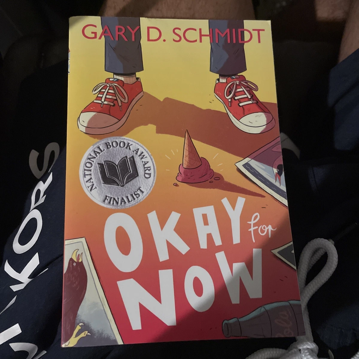 Ok For Now Book