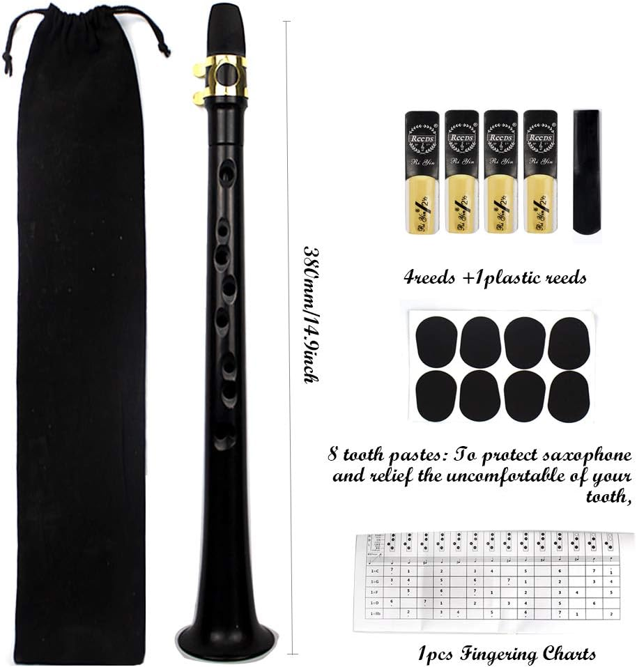 Pocket Saxophone Kit, Mini Sax Portable Woodwind Instrument ...