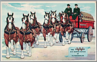 WILSON & CO MEAT PACKERS SIX HORSE HITCH WAGON CLYDESDALE CHICAGO IL AD ...