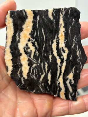 Zebra stone aka Zebra Marble Slab Cabbing Lapidary Collecting Combo ...