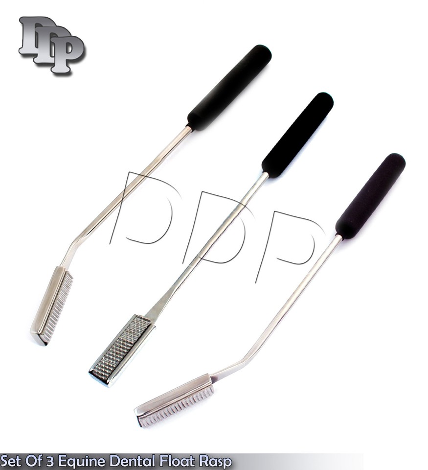 NEW PREMIUM EQUINE DENTAL FLOAT-RASP HORSE VETERINARY INSTRUMENTS SET ...