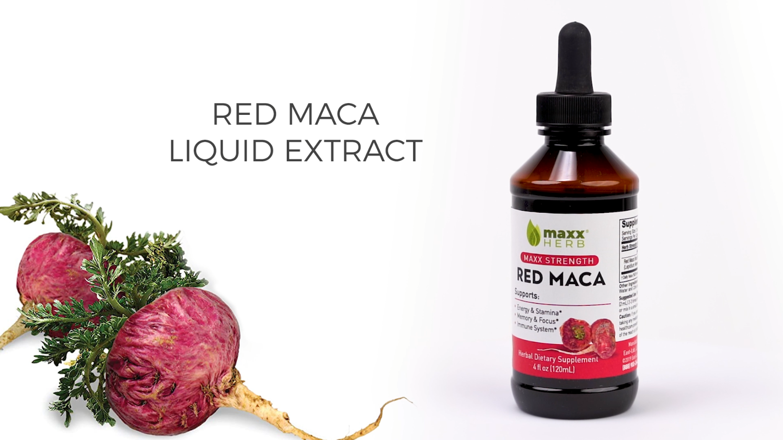 Maxx Herb Red Maca Root Extract Liquid for Energy, Stamina, Memory ...