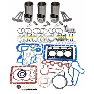 D782 Overhaul Rebuild Kit Compatible for Kubota D782E Engine B7410 ...