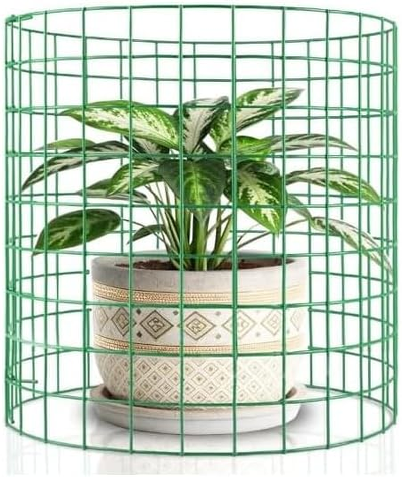 10 Pack Plant Protectors from Animals | 30PCS 13"X13" Metal Wire Mesh ...