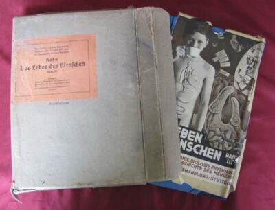 1927 VINTAGE GERMAN MEDICAL BOOK – HUMAN ANATOMY BIOLOGY & PHYSIOLOGY ...