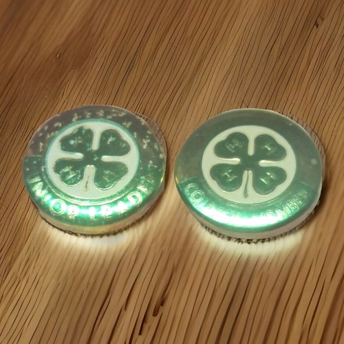 TWO SMALL VINTAGE 4-H BUTTON PINS JUNIOR LEADER AND COUNCIL MEMBER | eBay