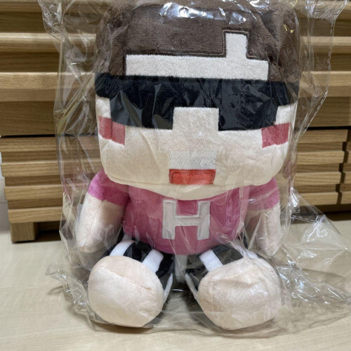 Hikakin Hikakura Minecraft Aeon limited edition stuffed toy | eBay