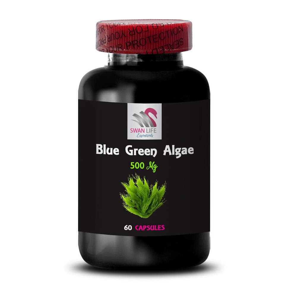 Daily Spirulina Capsules - BLUE GREEN ALGAE - Algae Complex Mix 1 Bottle 60 Caps | eBay