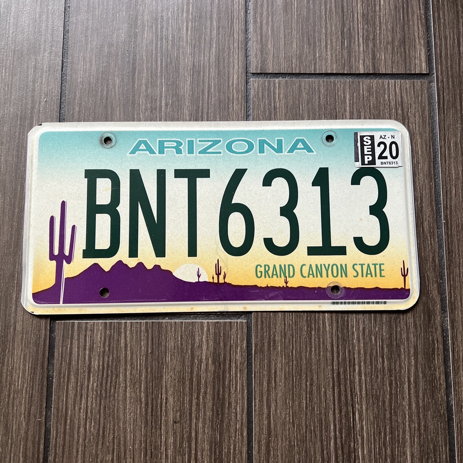 Vintage Arizona License Plate BNT 6313 | eBay