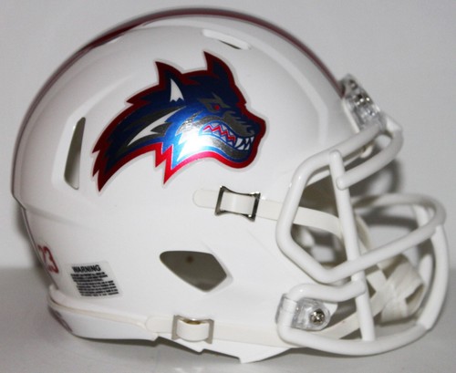 2023 Stony Brook Seawolves Custom Riddell Mini Helmet vs Villanova | eBay