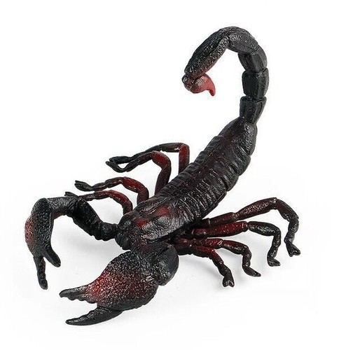 Scorpion Animal Toy PVC Action Figure Doll Kids Toys Party Gifts | eBay