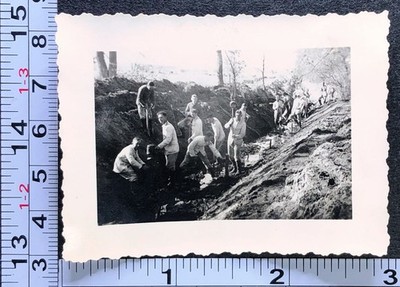Germany WW2 Reich Labour Service Working Trench Field BW Photo Snapshot ...