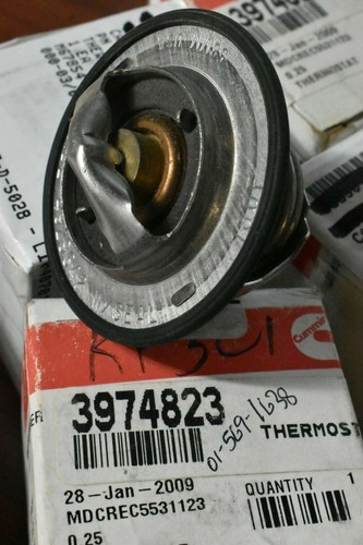 Cummins 3974823 Thermostat Genuine OEM | eBay