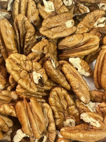 Pecans Southern Pecans In Shell 5 Pounds Hand Picked & Selected Fresh ...