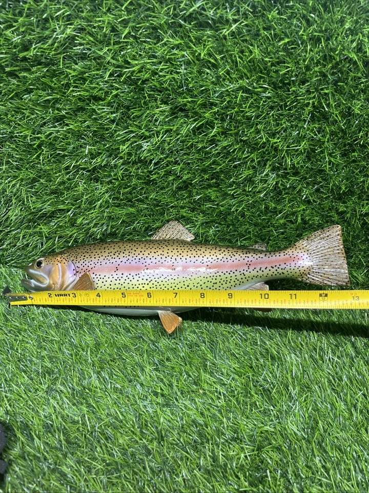 Rainbow Trout Land and sea wildlife collector series . Wall Hanger 13 ...