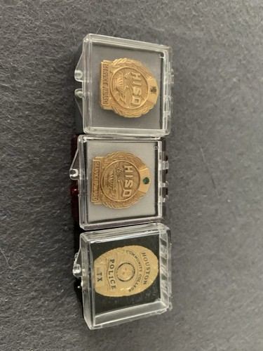 Lot of 3 HISD/COMM College Lapel Pins (10K) | eBay