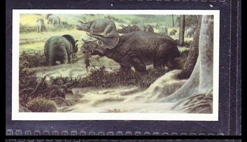 TRICERATOPS - 30 + year old English Trade Card # 20 | eBay