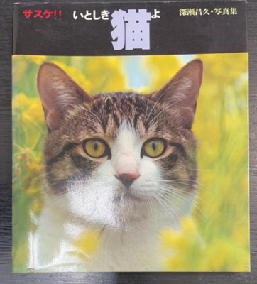 Fukase Masahisa Sasuke Cat Photo Book From Japan | eBay UK