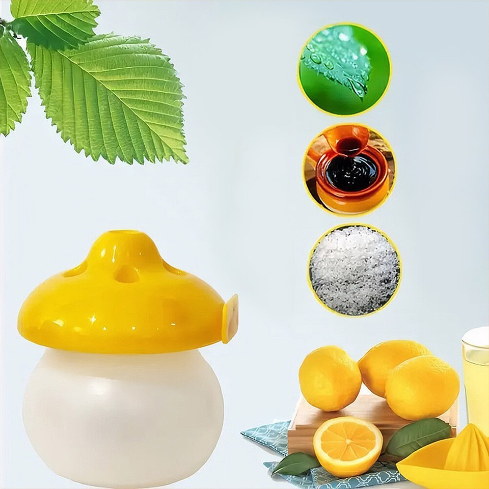 Fly Catcher Safe Non-Toxic Fruit Flies Catcher Fruit Fly Killer for ...