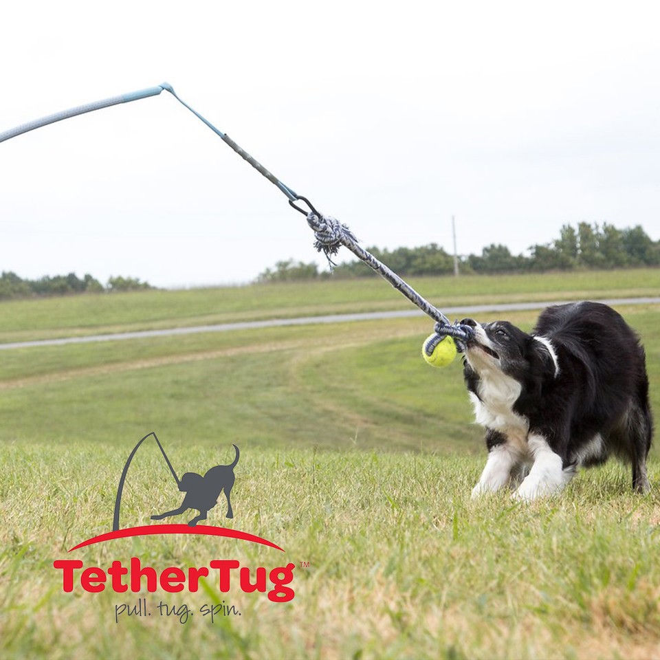 Tether Tug V2 Outdoor Dog Interactive Toy Tugging Pull Exercise 5-70 ...