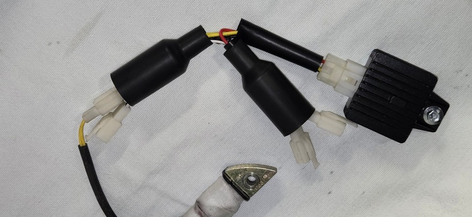 Coleman B200RSV Charging/Headlight Coil Assy W Regulator & Wiring. | eBay