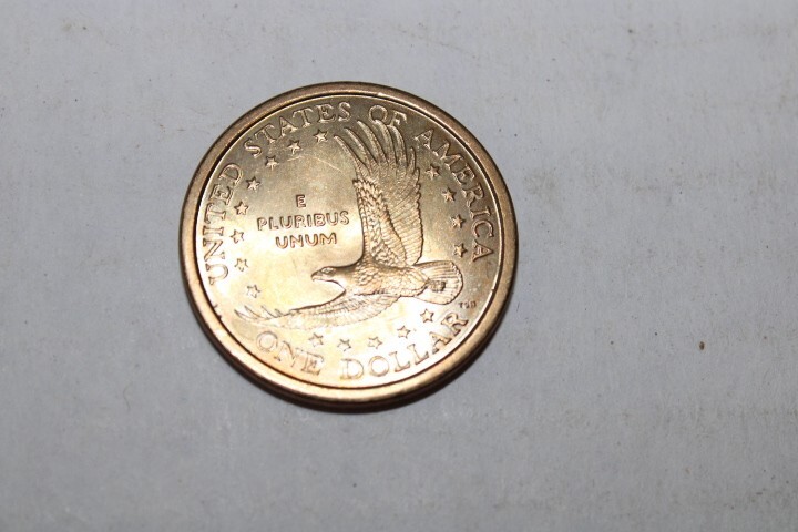 2000 Sacagawea Dollar P Mint Mark Wounded Eagle misprint error Coin | eBay