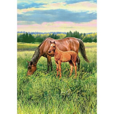 Mare Horse Foal Pasture House Flag 40" x 28" | eBay