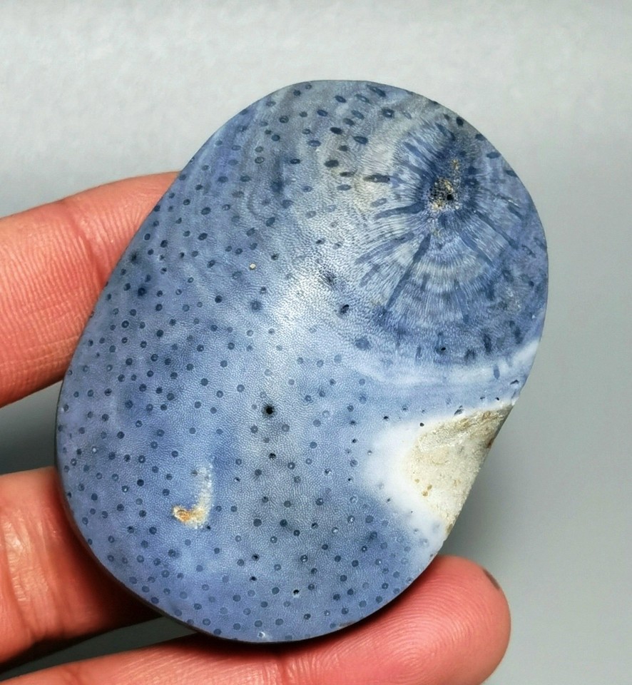 Collection ! Amazing Rare Blue Coral Jade Jasper Palm Reiki Stone ...