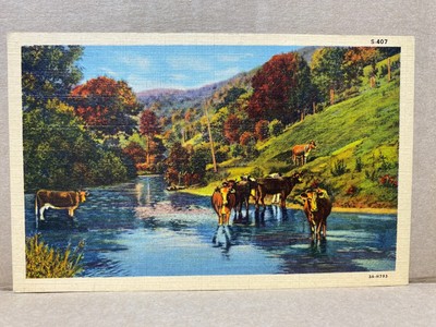 Greetings from Warsaw Ohio Linen Postcard No 1870 | eBay