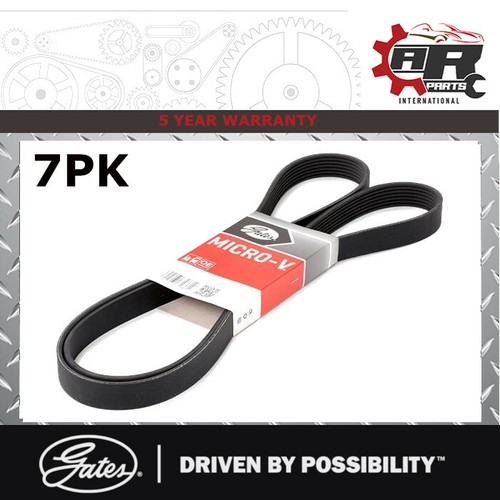 Gates 7pk 1243 7PK1243 Micro V A Costine Ventola - Ausiliaria ...