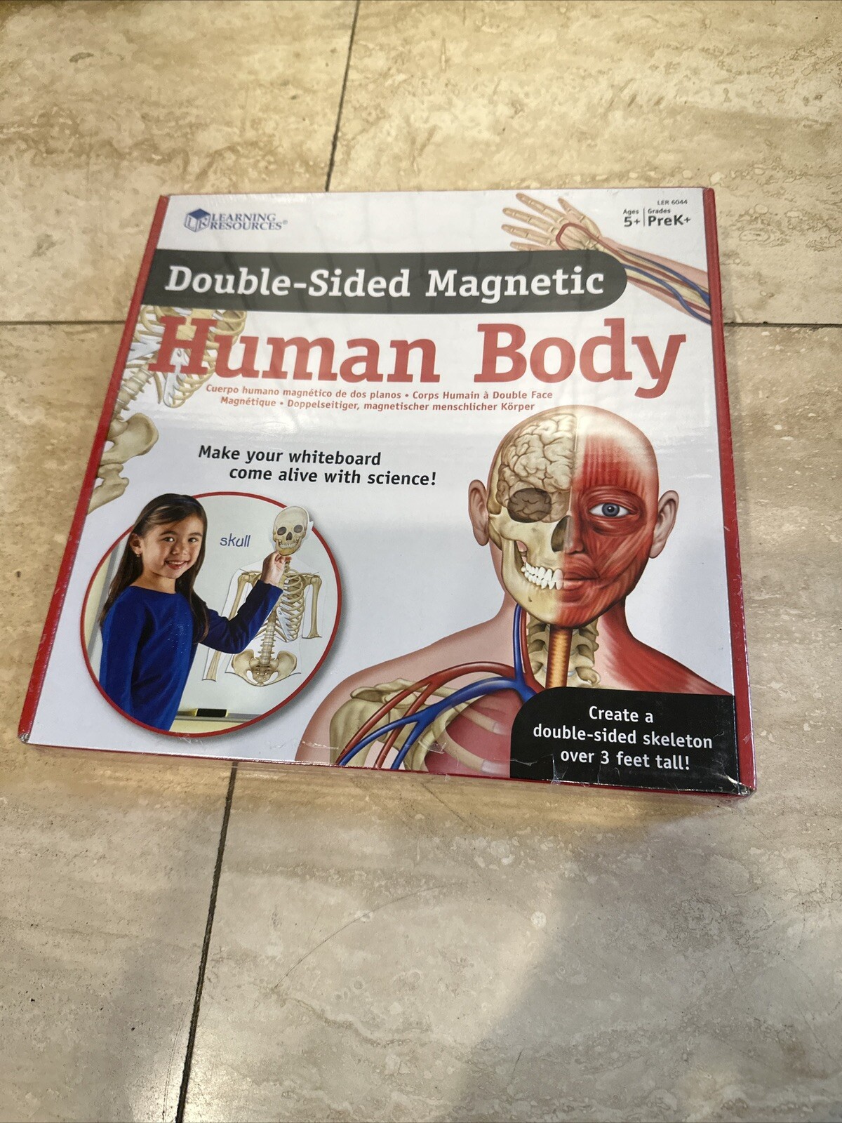 Learning Resources Double-sided Magnetic Human Body Set, New | eBay