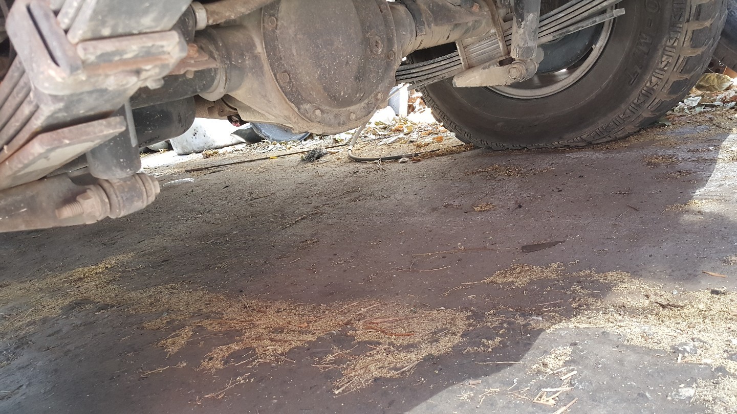 REAR AXLE FOR HUMMER H3 06 ASSY REAR DIFFERENTIAL ASSEMBLY | eBay