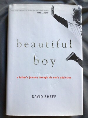 Beautiful Boy : A Father's Journey Through His Son's Addiction by David ...