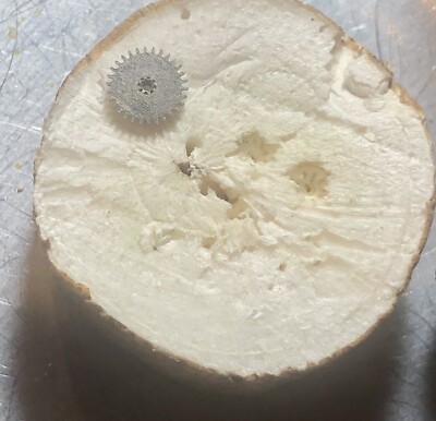 1 MINUTE WHEEL for Waltham WWII Military Wrist Watch part 26033 | eBay