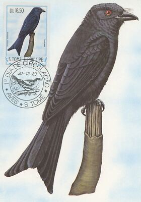 First Day Cover Postcard Bird Tome-gaga Dicrurus Modestus 1983 | eBay