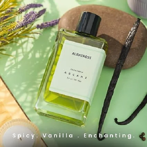 Albatross ARCANE Men’s Perfume | Long Lasting Spicy Musky Scent 100ml ...