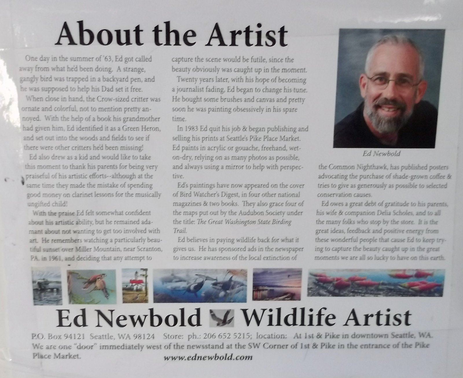 Sea Otters Ocean Animal Framed/Matted/Signed Ed Newbold Art Print ...