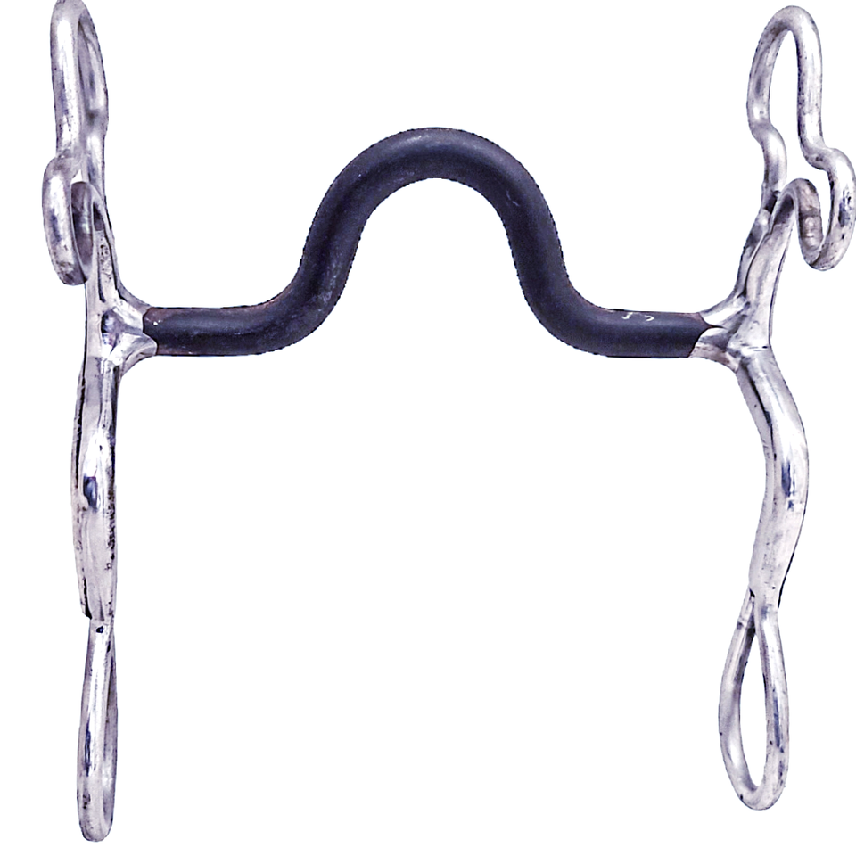 Winchester Sterling Silver Cavalry S Cheeks Short Shank Medium Curb ...