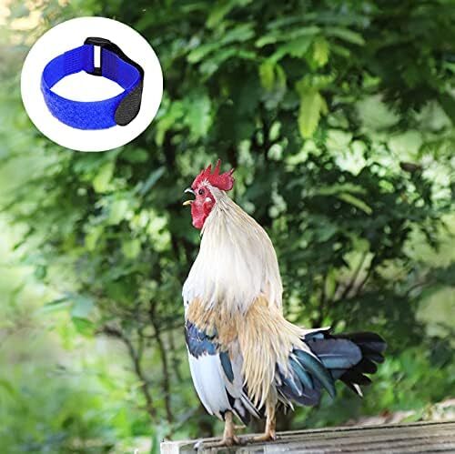 8 Pack No Crow Rooster Collars, Chicken Collar Anti-hook Noise Free ...