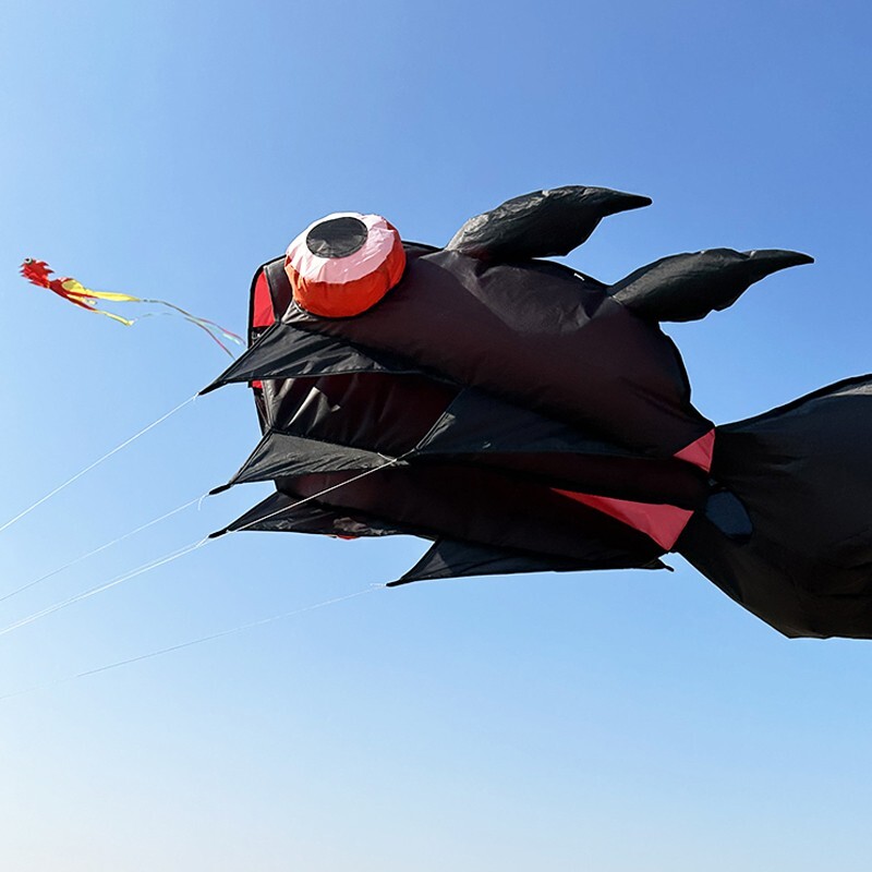 3D 3-Color Goldfish Soft Kite Soft Animal Professional Kites Outdoor ...