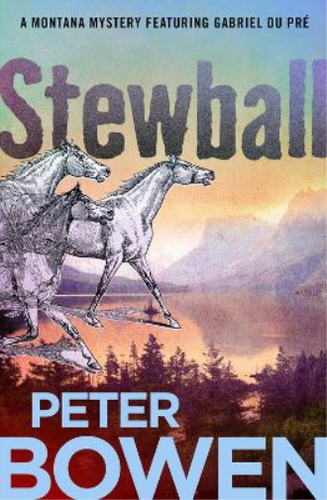 Peter Bowen Stewball (Paperback) 9781504068383 | eBay