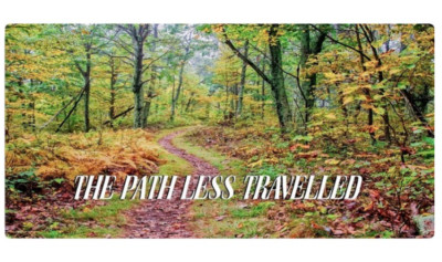 THE PATH LESS TRAVELLED USA MADE METAL LICENSE PLATE | eBay