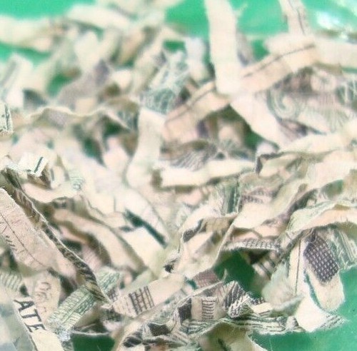 #1 Bag USA TREASURY Confetti Cut Shredded Currency Shredded Money Cash ...